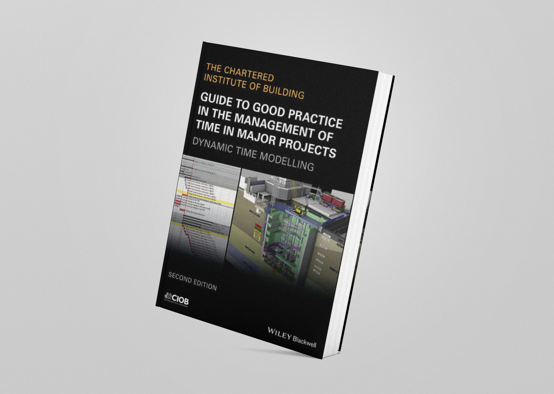 Guide to Good Practice in the Management of Time in Major Projects ...