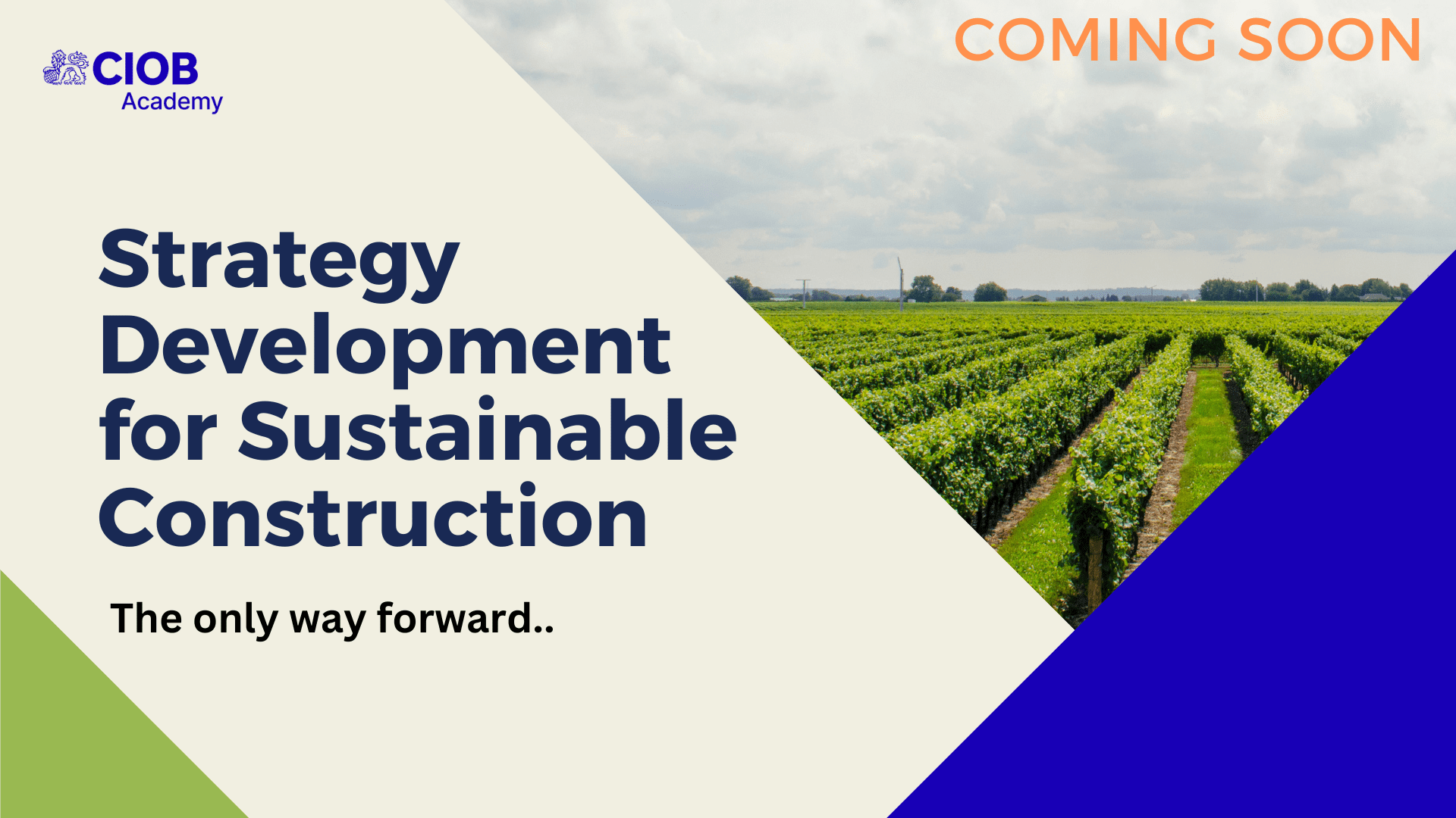 Strategy Development for Sustainable Construction - CIOB Academy