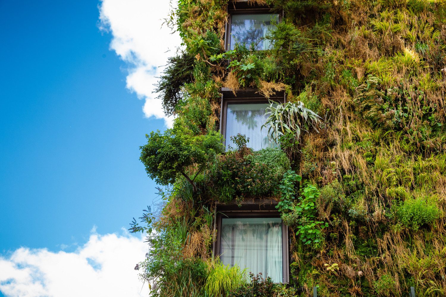 IEMA Courses - CIOB Academy